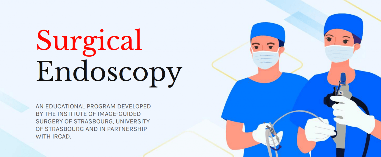 Master Surgical Science - Surgical Endoscopy | IHU Strasbourg